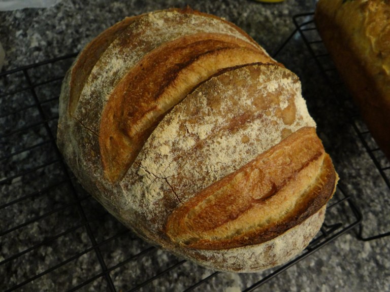 The Science Behind… using a couche or proofing basket – The Bread Maiden