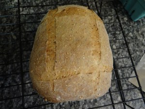 First century AD bread – The Bread Maiden