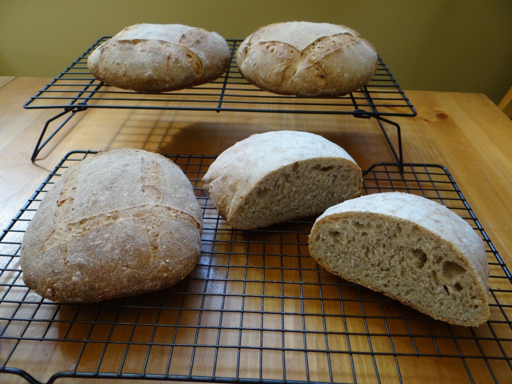 First century AD bread – The Bread Maiden