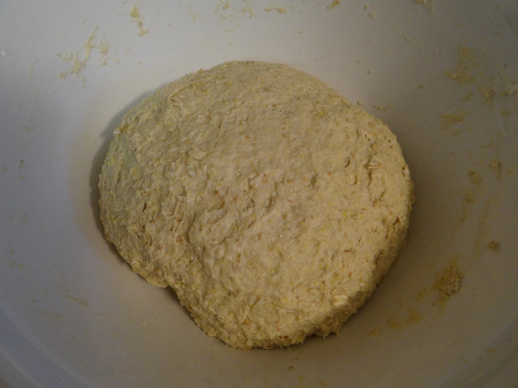 Peter Reinhart’s multi-grain struan – The Bread Maiden