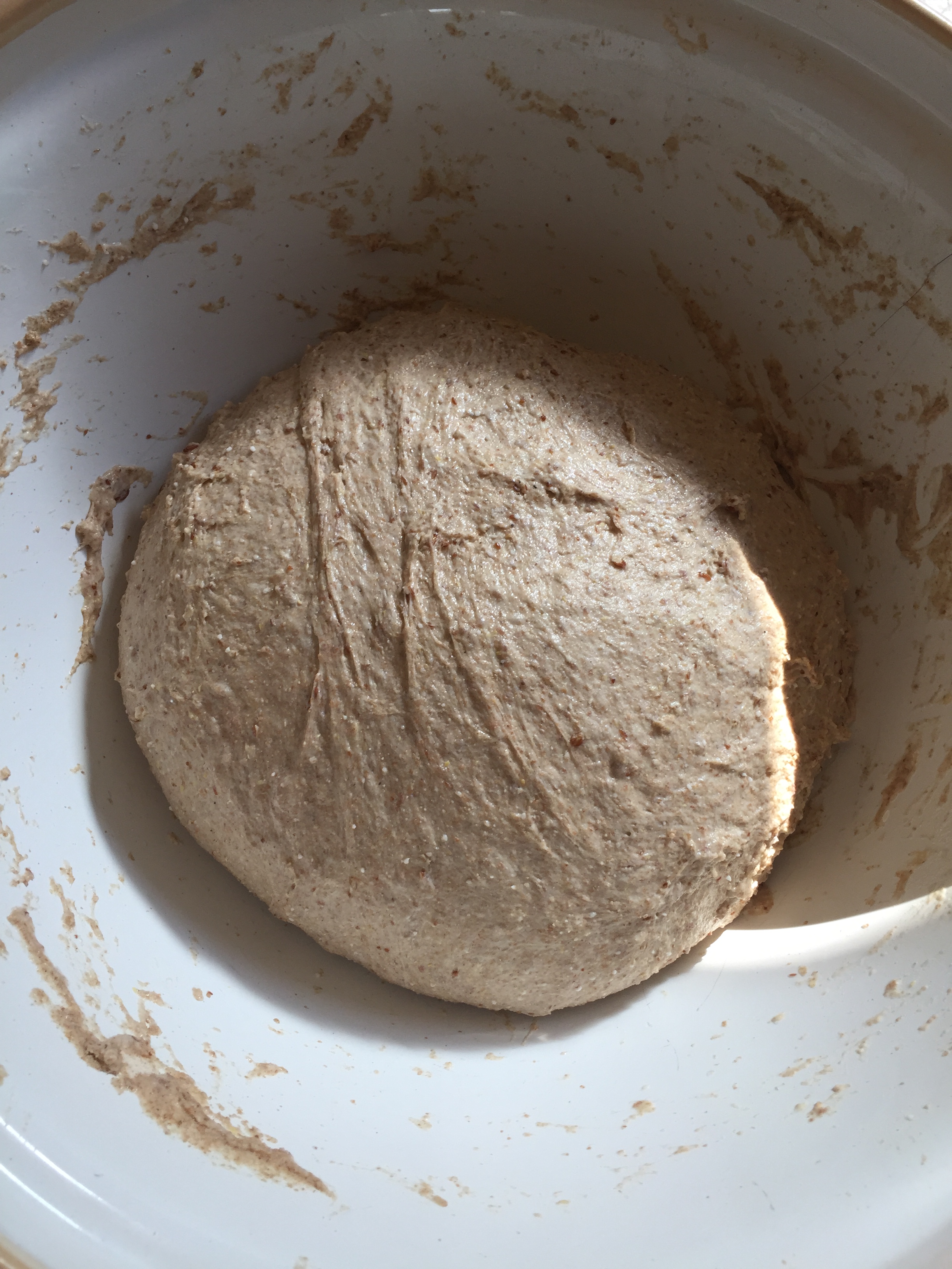 Michael Pollan’s Whole Wheat Country Loaf – The Bread Maiden